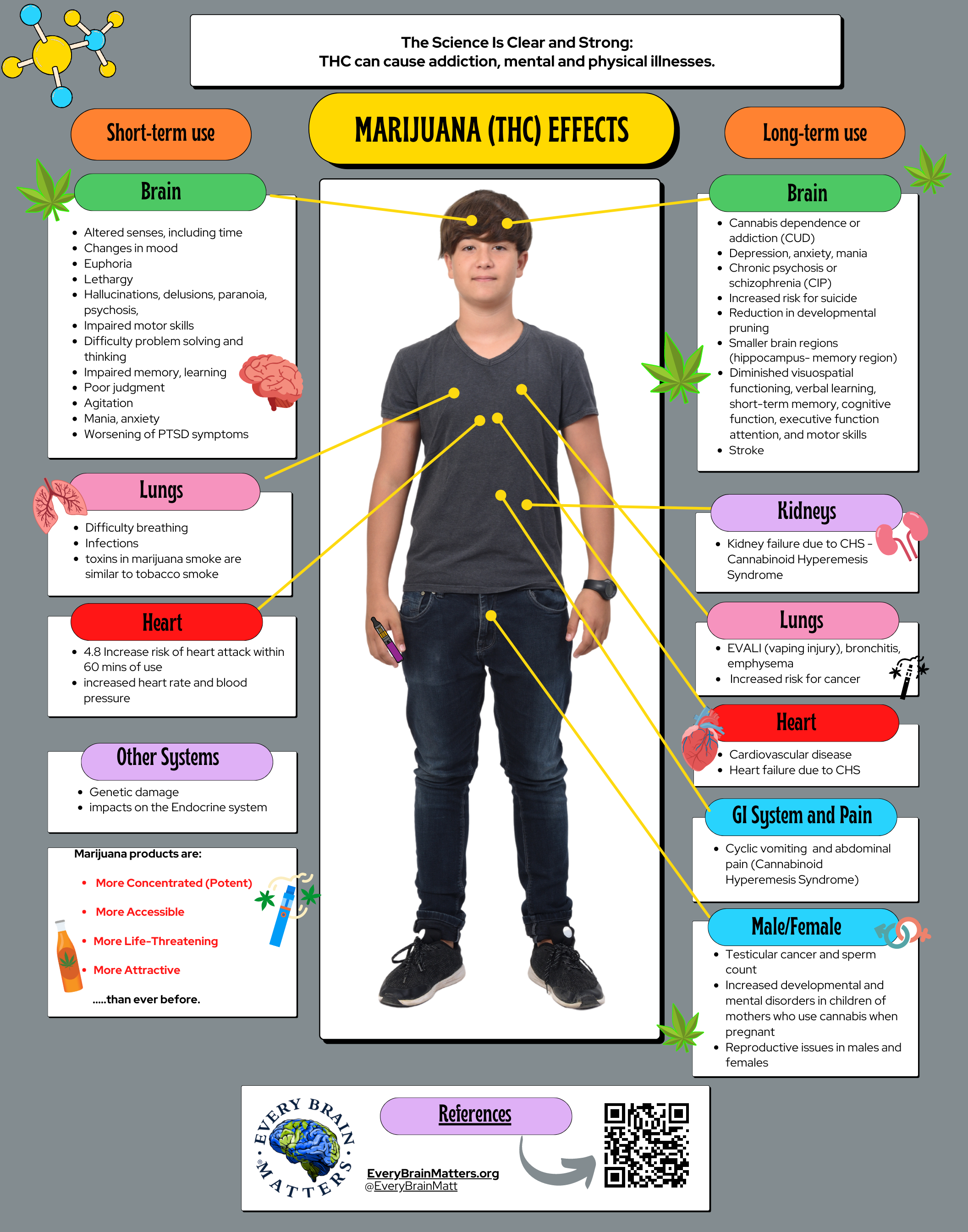 Effects Of THC Every Brain Matters Effects Of THC Every Brain Matters