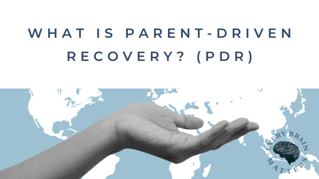 Recovery ions For Parents Every Brain Matters Every Brain Matters